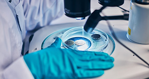 AnoxKaldnes™ MBBR Wastewater Treatment | Veolia Water Technologies